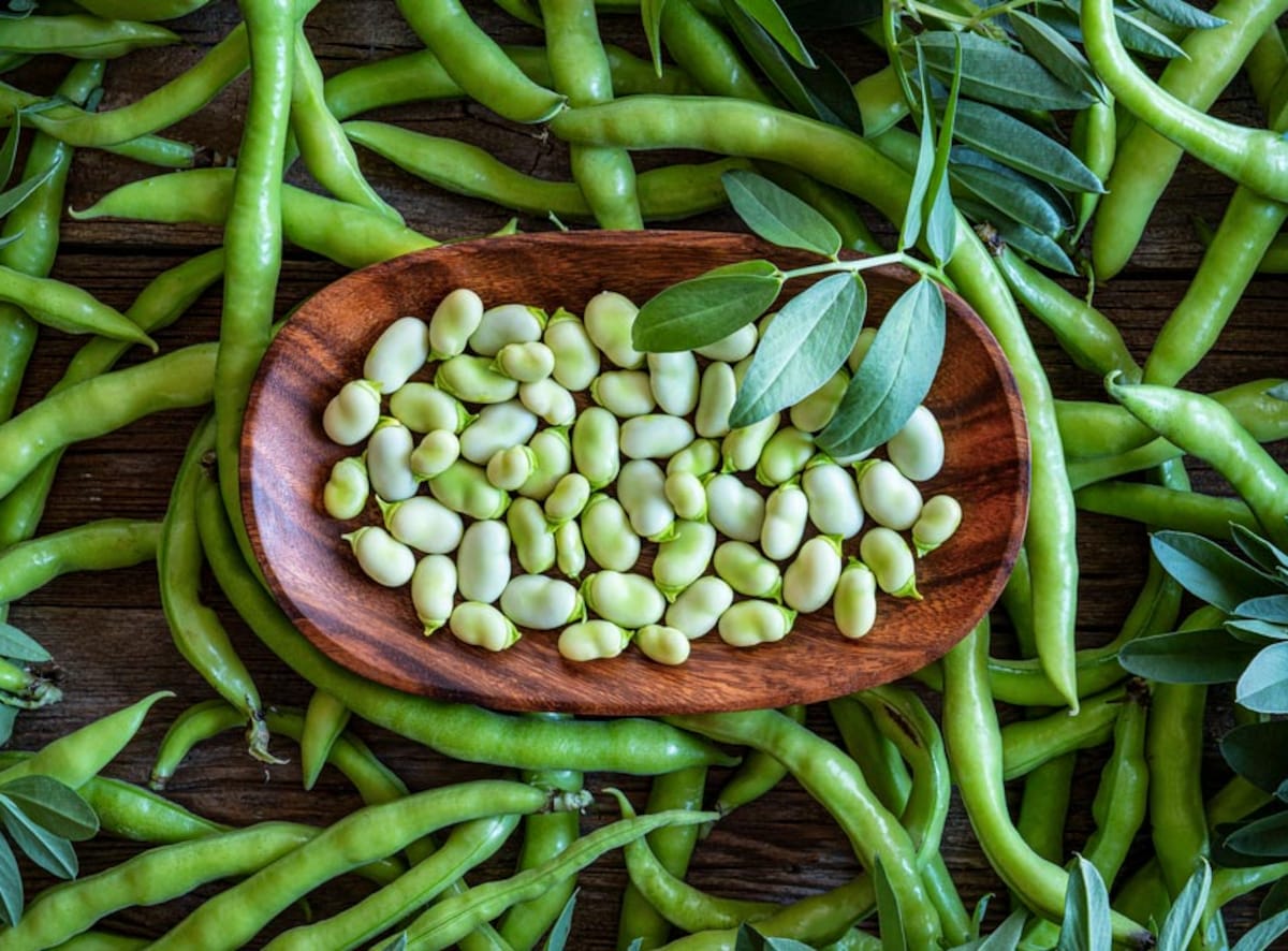 Different Types of Beans in India | LoveLocal