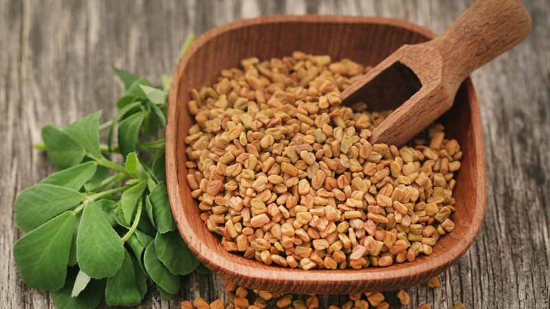 Methi Seeds Benefits, Uses, and Side Effects | LoveLocal